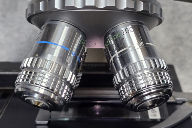 Nikon Z50：顕微鏡カメラとしての活用